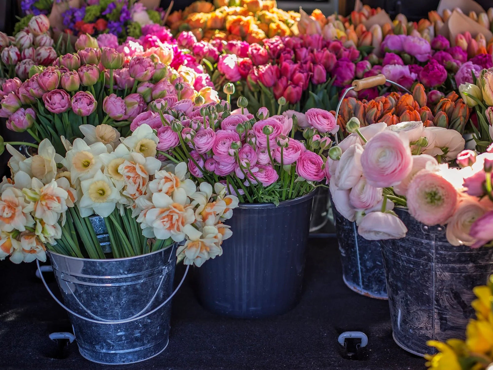 Dahlia May Flower Farm | Ontario Grown Flowers Located In Trenton, ON